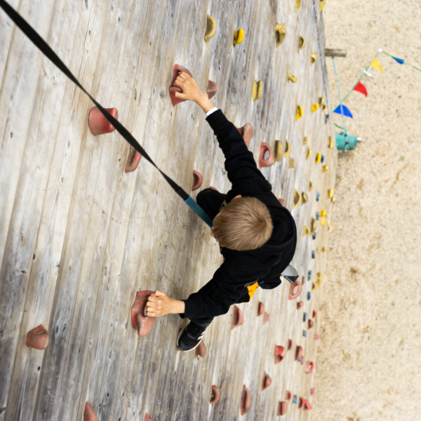 Aerial Trek - Woodhouse Park Activity Centre